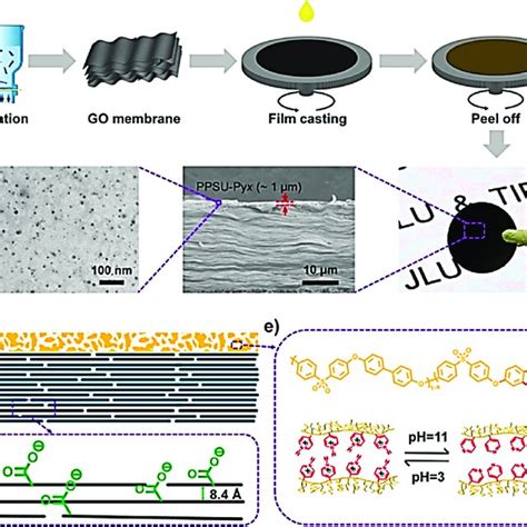 Schematic Of Heterogeneous Membrane With Asymmetric Structure A Download Scientific Diagram