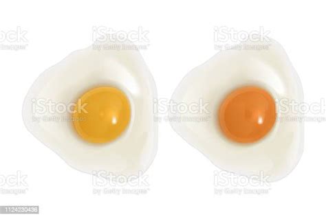 흰색 바탕에 원시 계란 계란 밝은 노란색과 오렌지 Yolks 평면도 현실적인 벡터의 집합 날것에 대한 스톡 벡터 아트 및 기타