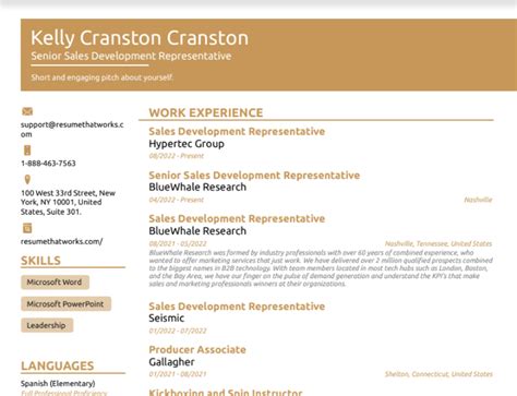 Download Free Senior Sales Development Representative 2 Resume Template