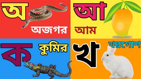অ আ ক খ। বাংলা স্বরবর্ণ ও ব্যঞ্জনবর্ণ।bangla Sarabarno And Banjanbarna