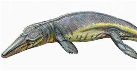 Super Croc Fossil Found Huffpost Videos