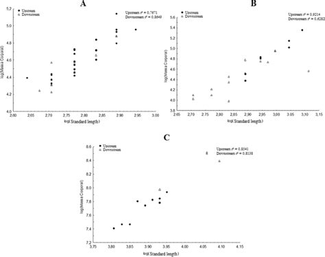 Relationship Between The Logarithm Of Standard Length And The Logarithm Download Scientific
