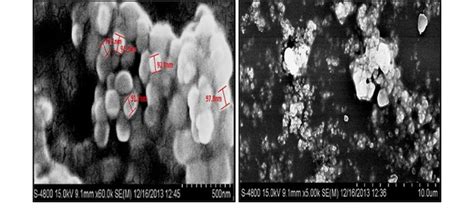Scanning Electron Micrographs Of Ni Doped Tio 2 Thin Films Download