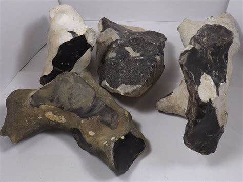 Flint Knapping Parcel Large Pieces Of Black Flint Chert