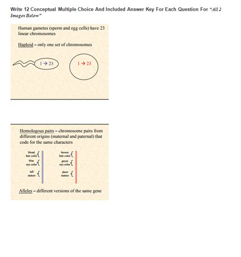 Solved Note Write Conceptual Multiple Choice And Chegg