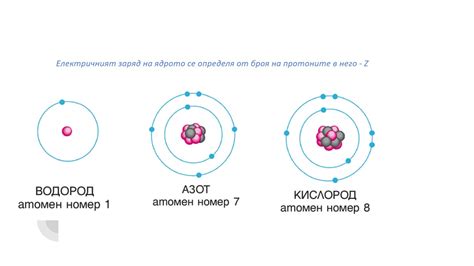 Строеж на атома и атомното ядро 7 клас Youtube