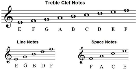 How To Read Sheet Music For Beginners Reading Sheet Music Treble Clef Basic Guitar Lessons