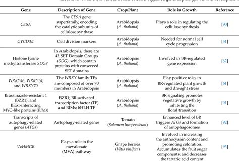 Table 1 From Brassinosteroids Brs Role In Plant Development And Coping With Different Stresses