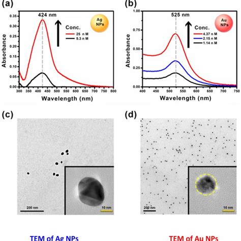 Calculated Electronic Absorption Such As Electronic State Es Download Scientific Diagram