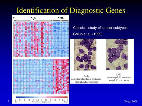 Ppt Different Expression Multiple Hypothesis Testing Powerpoint
