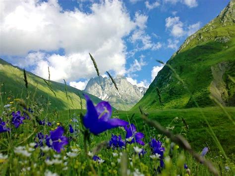 დღიანი ტური ჯუთა ჭაუხები თიანეთი 0 Gel კულტურის პოპულარიზაციის ცენტრი