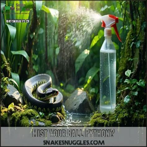ball python temperature humidity 9 critical care secrets revealed