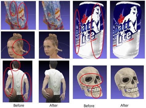 Visual Examples With Noise Regions Circled Download Scientific Diagram