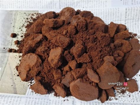 커피찌꺼기활용법 이런것 까지 커피방향제 가루활용 커피찌꺼기화분 사용법 네이버 블로그