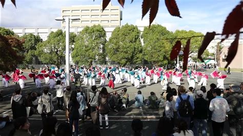 浜松学生連 鰻陀羅『ハレルヤ』 第24回静大祭 In 浜松 ストリートパフォーマンス会場 2023年11月11日 Youtube