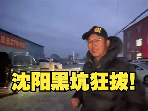 我们也来体验一回黑坑暴躁的鱼情 刘志强钓鱼 刘志强钓鱼 哔哩哔哩视频