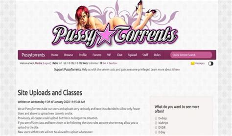 Best Porn Torrent Sites Adult Blog