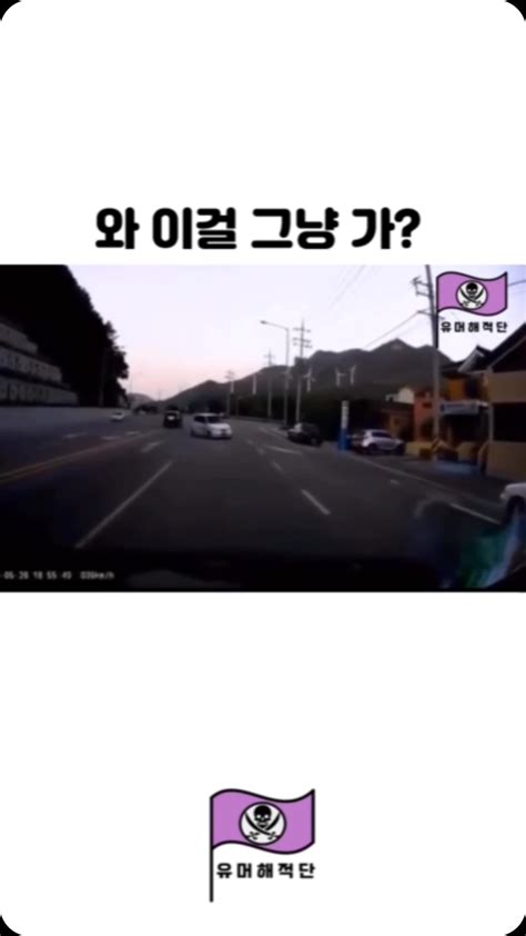 쫄지마 일상 소통 맞팔 선팔 여행 육아 사고 유머 웃긴짤 유머스타그램 재밌는 재미