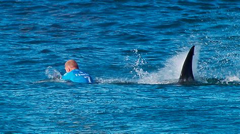 Triple campeón mundial de surf fue atacado por tiburón en un torneo