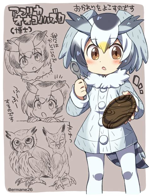 Northern White Faced Owl Kemono Friends Drawn By Eromame Danbooru