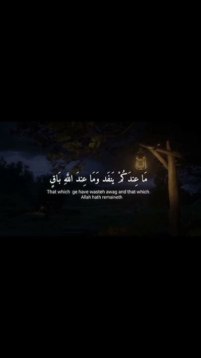 قرآن اكسبلور قرانكريم لايك تصميمي القارئعبدالرحمنمسعد ارح