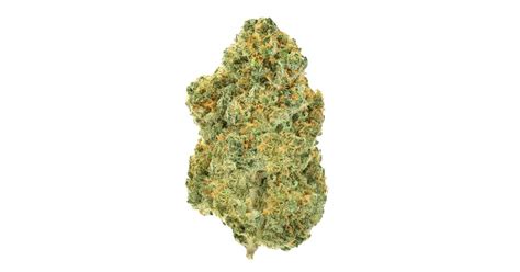 Lemon Squeeze Cannabis Strain Information Growdiaries