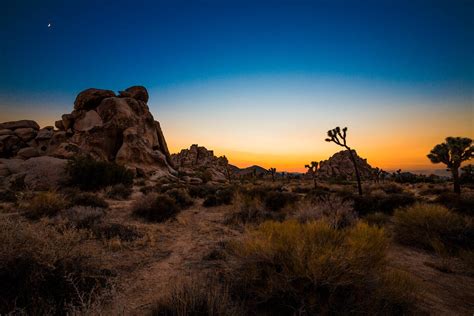 Joshua Tree Wallpapers Wallpaper Cave