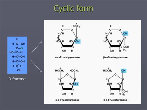 Chemistry Of Carbohydrates Ppt Download