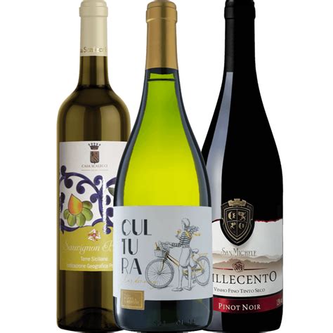 Vinhos de Bicicleta | Diversos Tipos de Vinho
