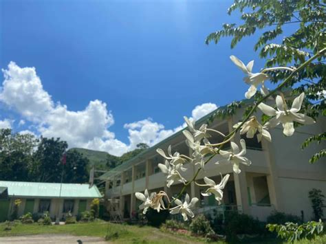 Tambo Tambo Elementary School Ayungon Negros Oriental