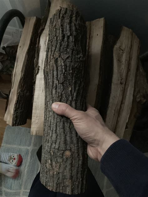 Treed Id Question Sugar Maple Firewood Hoarders Club
