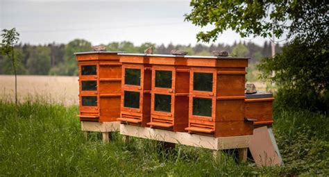 Cabe Atwell On Linkedin Thermosolarhive