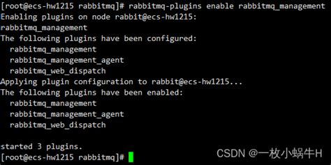 Rabbitmq保姆级安装：linux Centos8系统centos8安装rabbitmq Csdn博客