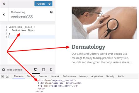 How To Customize Your Wordpress Site With Css Proteusthemes