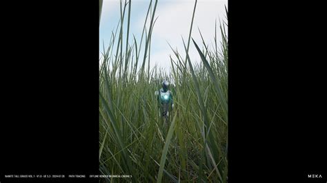 Nanite Tall Grass Vol 1 Unreal Engine Asset