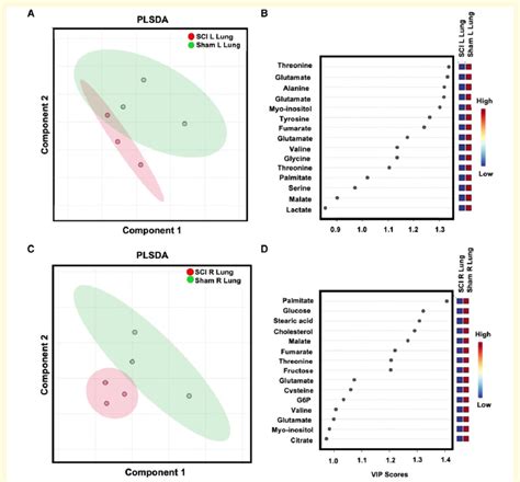 sci alters lung metabolites partial least squares discriminant