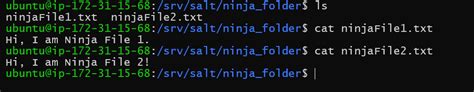 Salt File Server Naukri Code