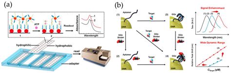 Optical Biosensors For Label Free Detection Of Small Molecules At Priscilla Carollo Blog