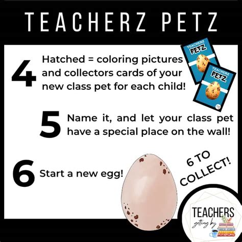 Fun Classroom Management Resource Teacherz Petz 6 Petz Pack Series 1
