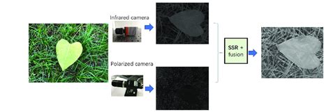 Ssr Application In Real World Imaging Download Scientific Diagram