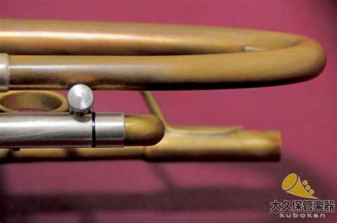 Taylor Custom Shop Neo Starship Balladeer Bell B♭trumpet Band