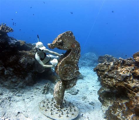 The Worlds Deepest Mailbox