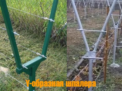 Шпалера для ежевики: как сделать своими руками, фото, технология подвязки