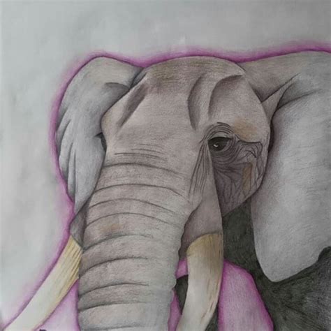 Gentle Giant Colour Pencil Drawing Color Pencil Drawing Pencil