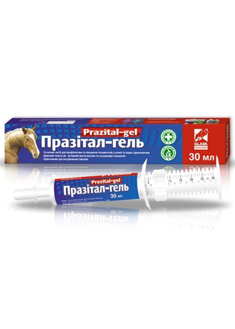 Главная – O.L.KAR. UZ