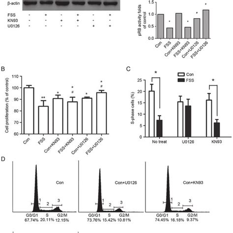 Extracellular Signal Regulated Kinase And Calciumcalmodulin Dependent