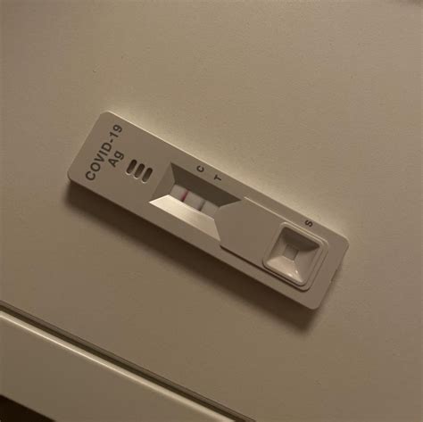 코로나 자가격리 일기 네이버 블로그