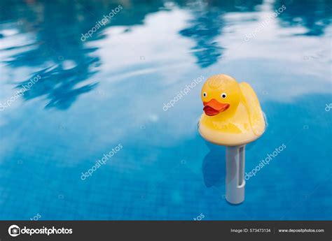Yellow Rubber Duck Toy In The Water Of A Swimming Pool Moving Water
