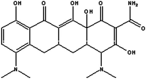 The Structure Of Mcl Download Scientific Diagram