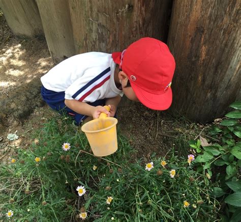 幼稚園日記 ダンゴムシ見つけた！